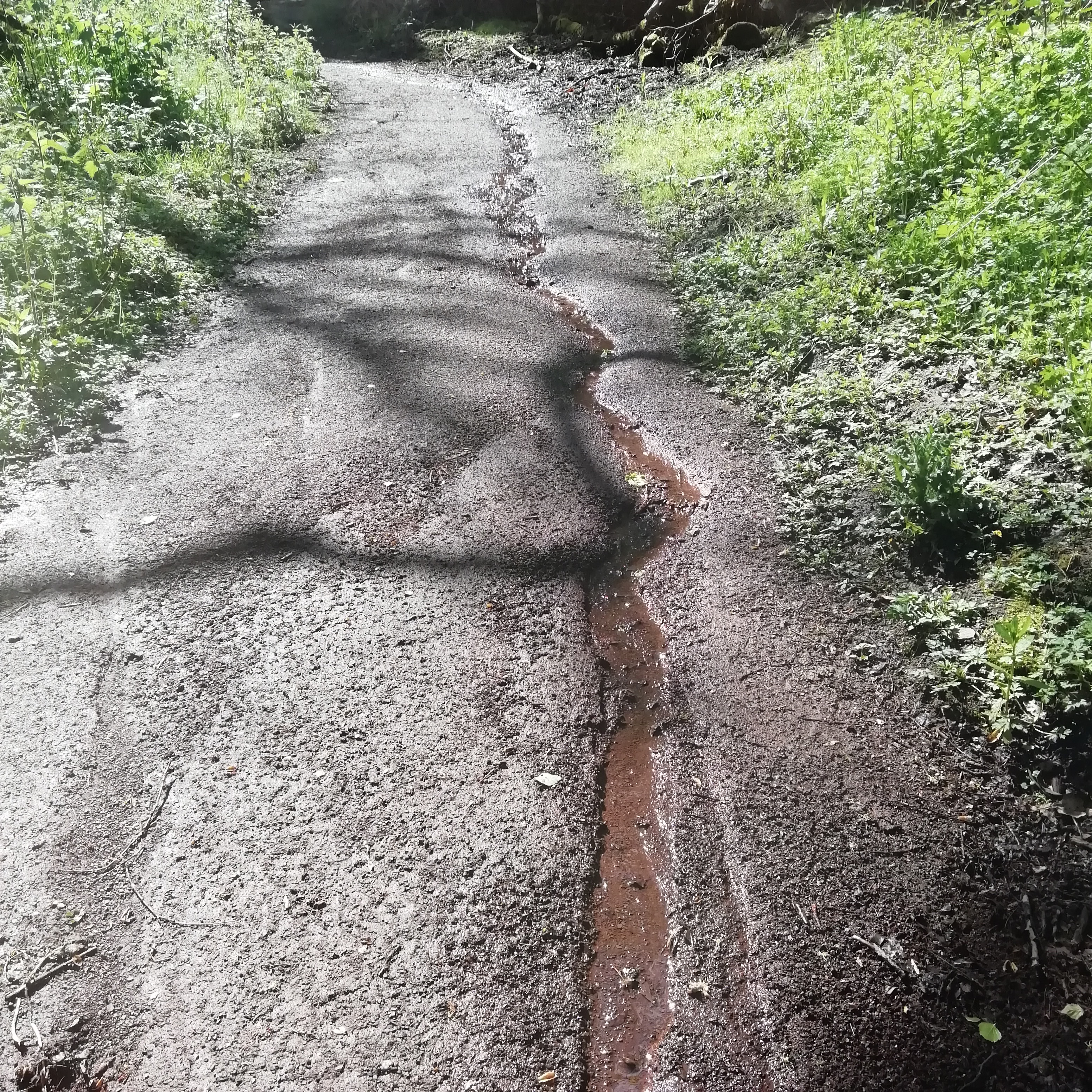 Path drainage and maintenance – Gifford Community Woodland